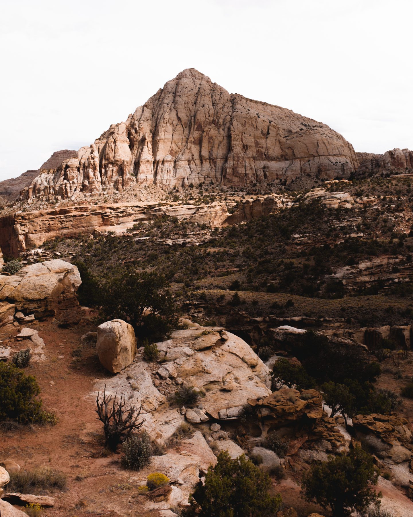 One Day In Capitol Reef: PERFECT Capitol Reef National Park Itinerary ...